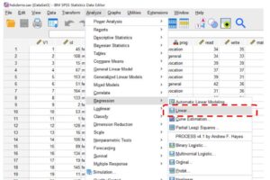 Multiple Linear Regression in SPSS