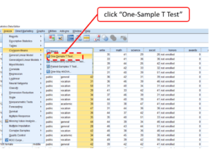 One Sample t-test in SPSS