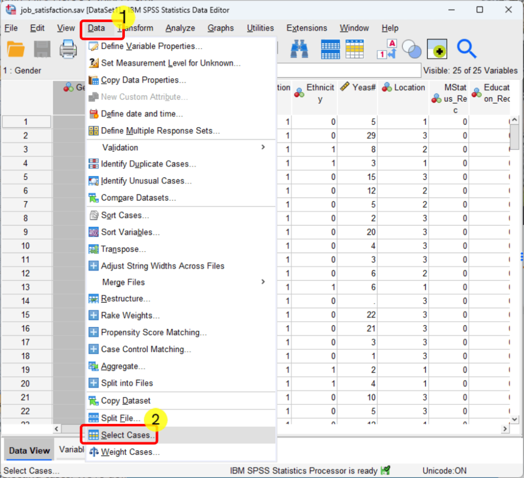 Select Cases in SPSS